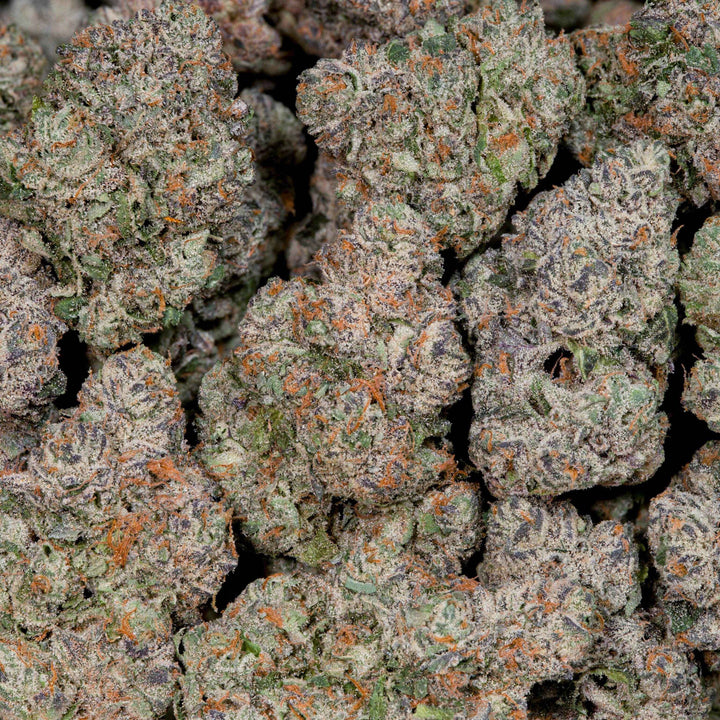 Wizard Trees Seeds – Einzigartige Cannabis-Genetik | Only Seeds