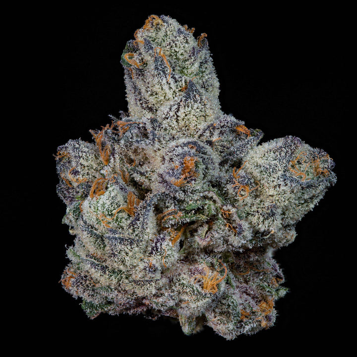 Wizard Trees Seeds – Einzigartige Cannabis-Genetik | Only Seeds